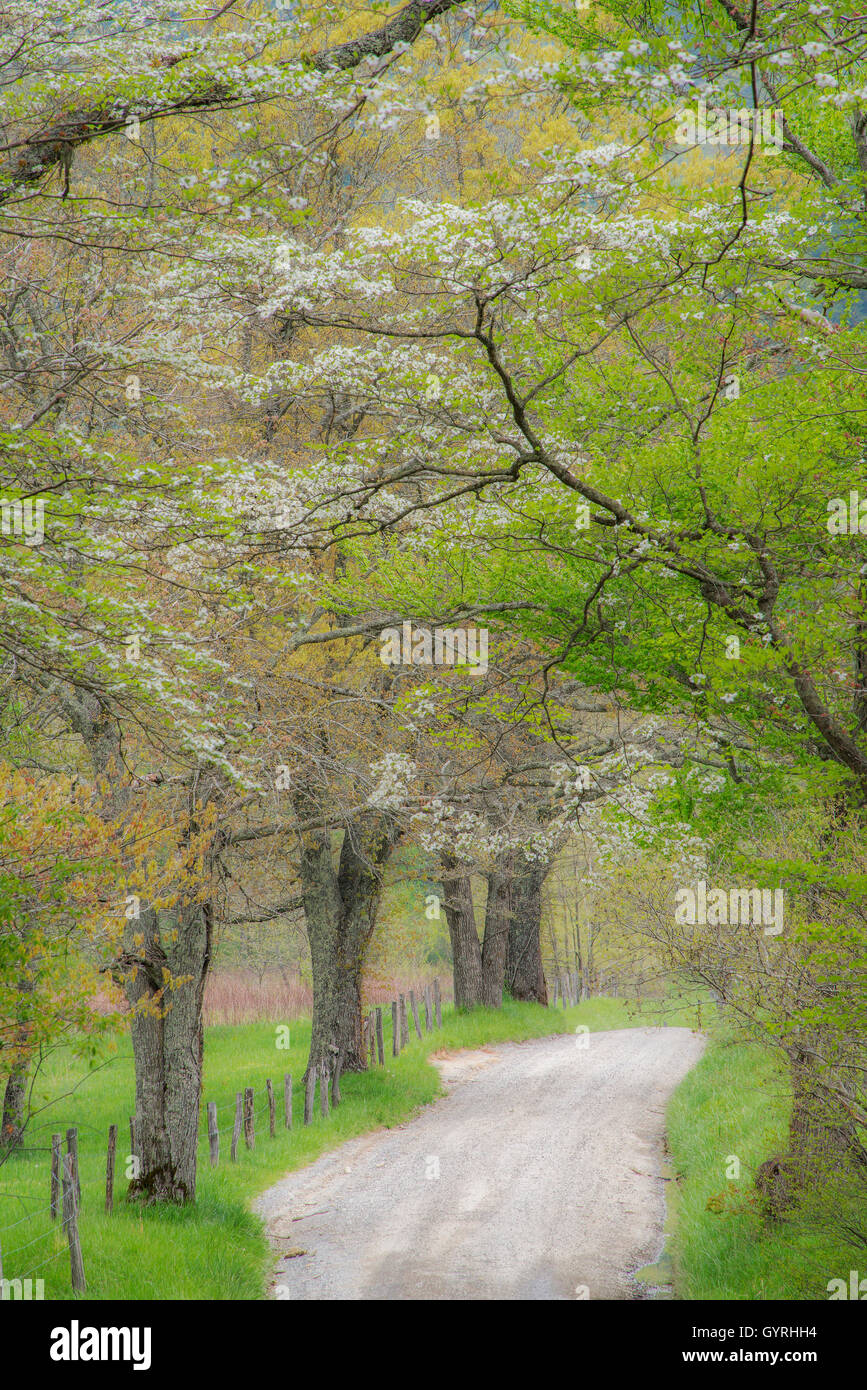 Postcards of sparks hi-res stock photography and images - Alamy