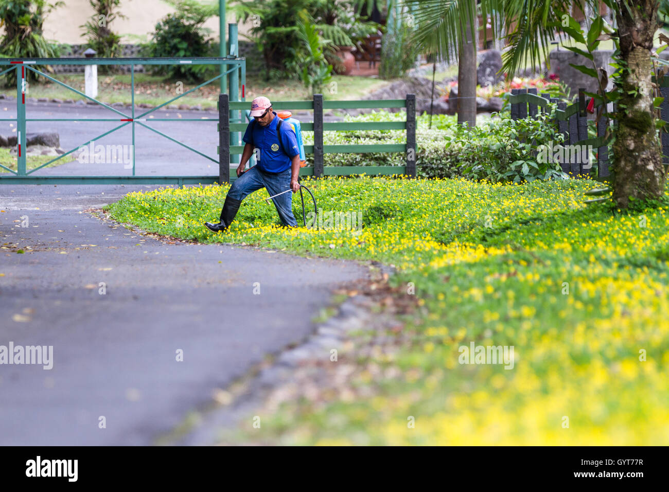 Spraying pesticides costa rica hi-res stock photography and images - Alamy