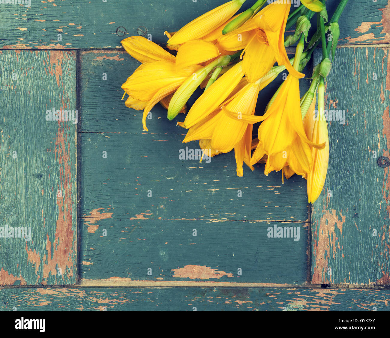 Plant separation flower flower hi-res stock photography and images - Alamy