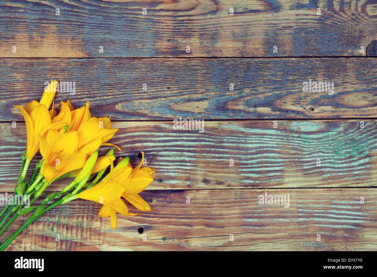 Plant separation flower flower hi-res stock photography and images - Alamy