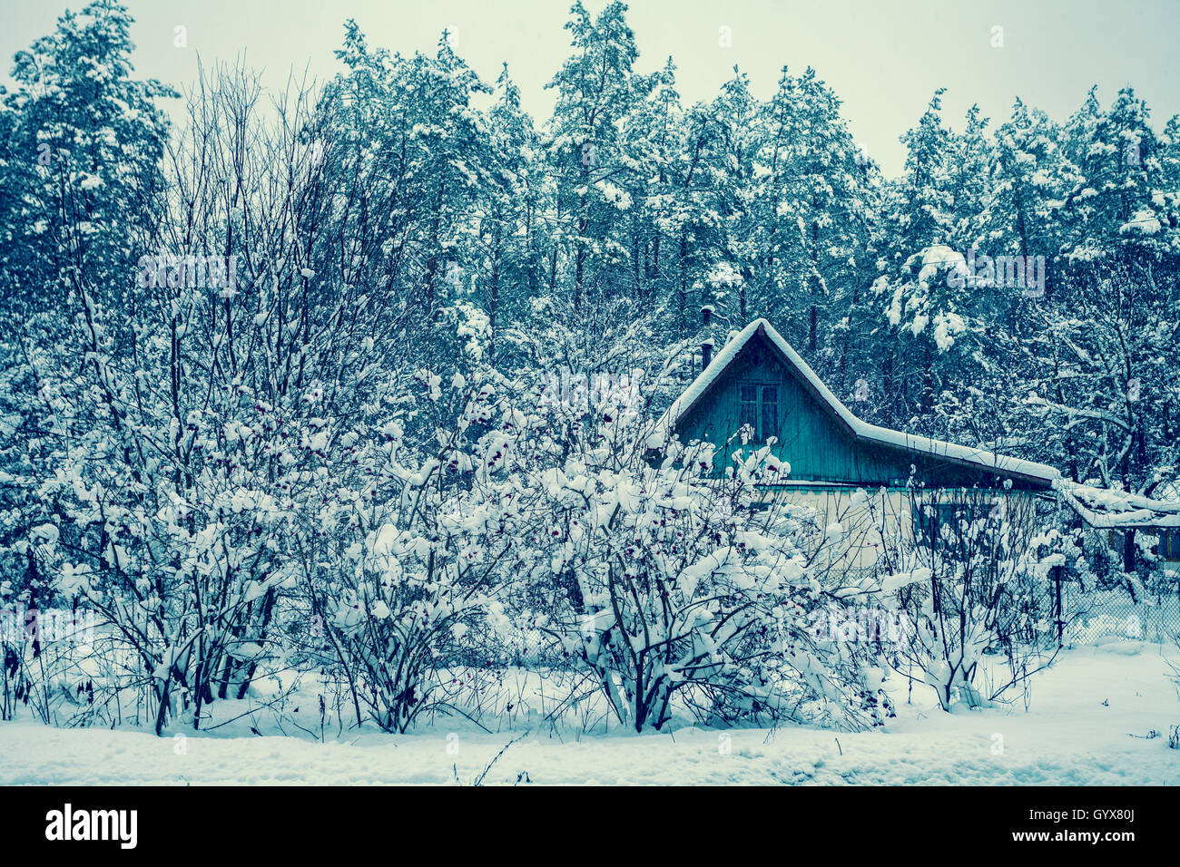 Rural scene with blizzard hi-res stock photography and images - Alamy