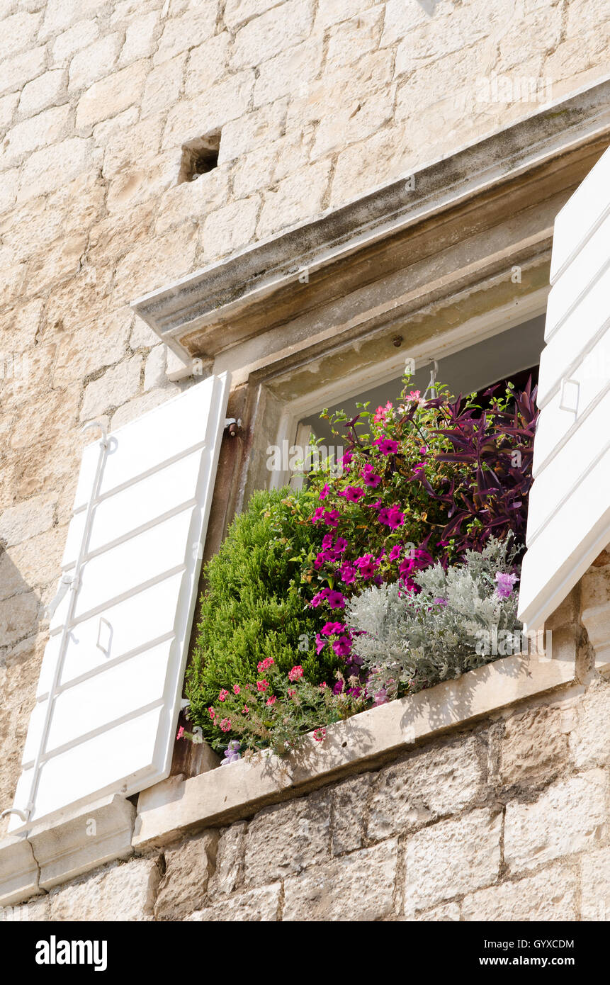 Flower arrangement window hi-res stock photography and images - Alamy