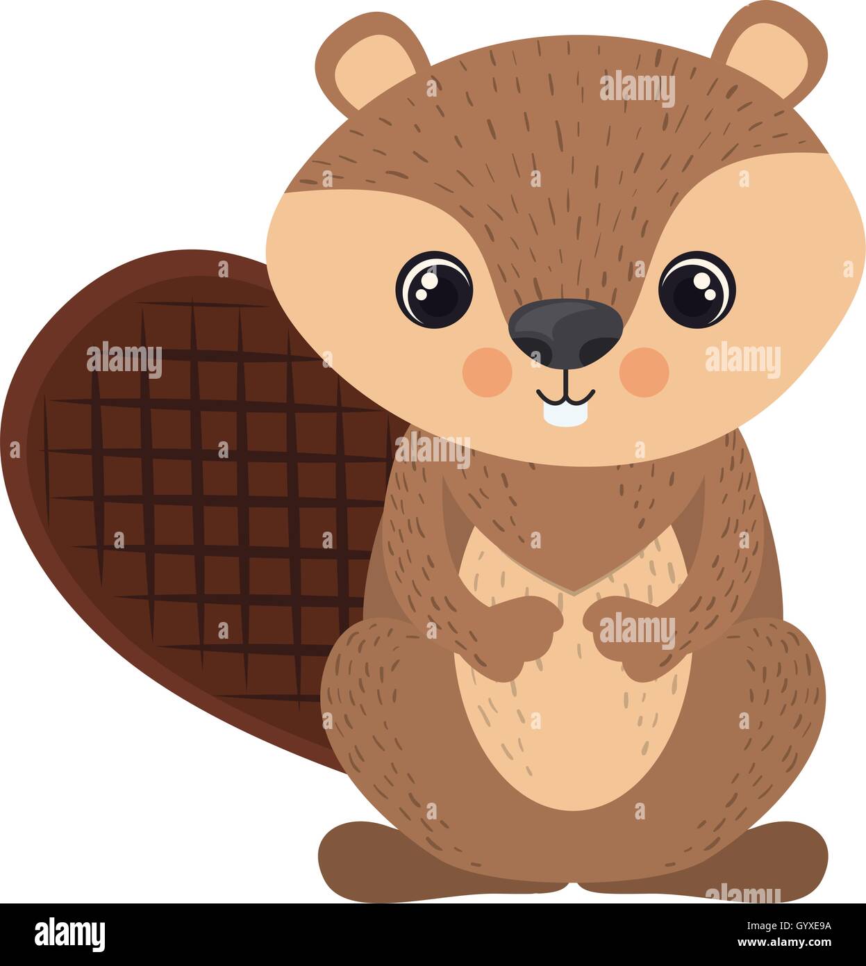 Isolated beaver cartoon design Stock Vector Image & Art - Alamy
