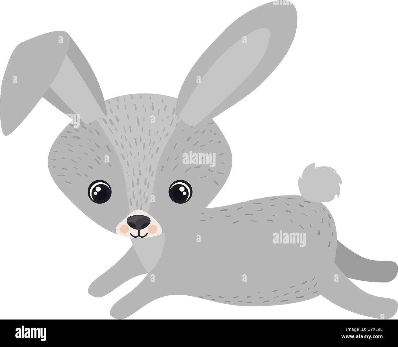 Isolated rabbit cartoon design Stock Vector Image & Art - Alamy