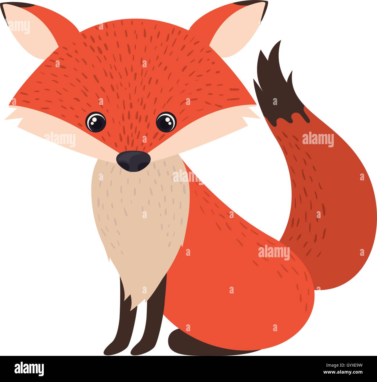 Isolated fox cartoon design Stock Vector Image & Art - Alamy