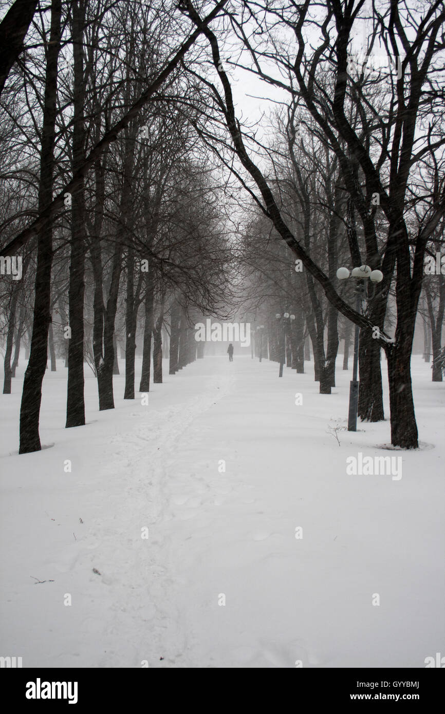Human snow figure hi-res stock photography and images - Alamy
