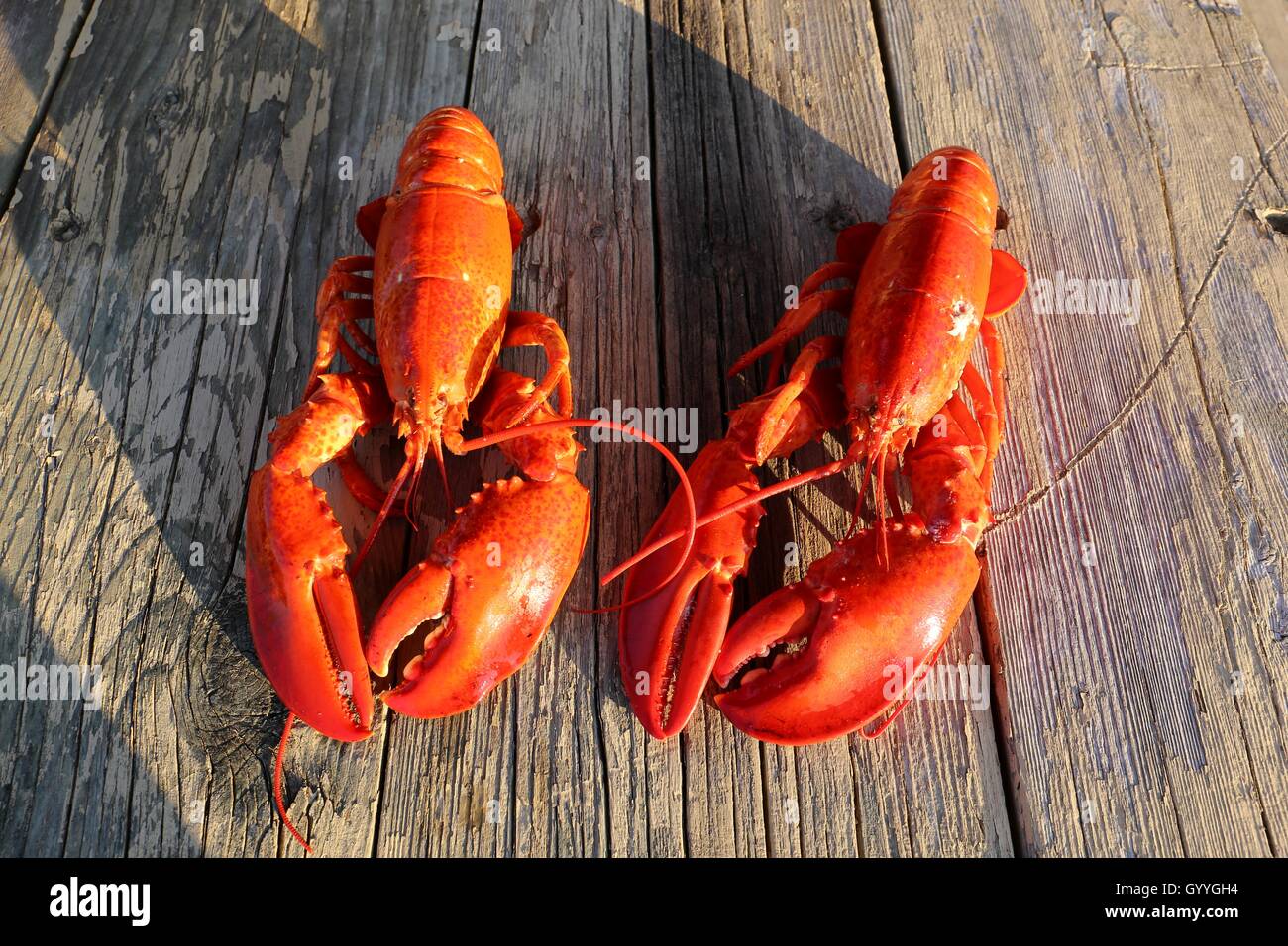 Noble fish hi-res stock photography and images - Alamy