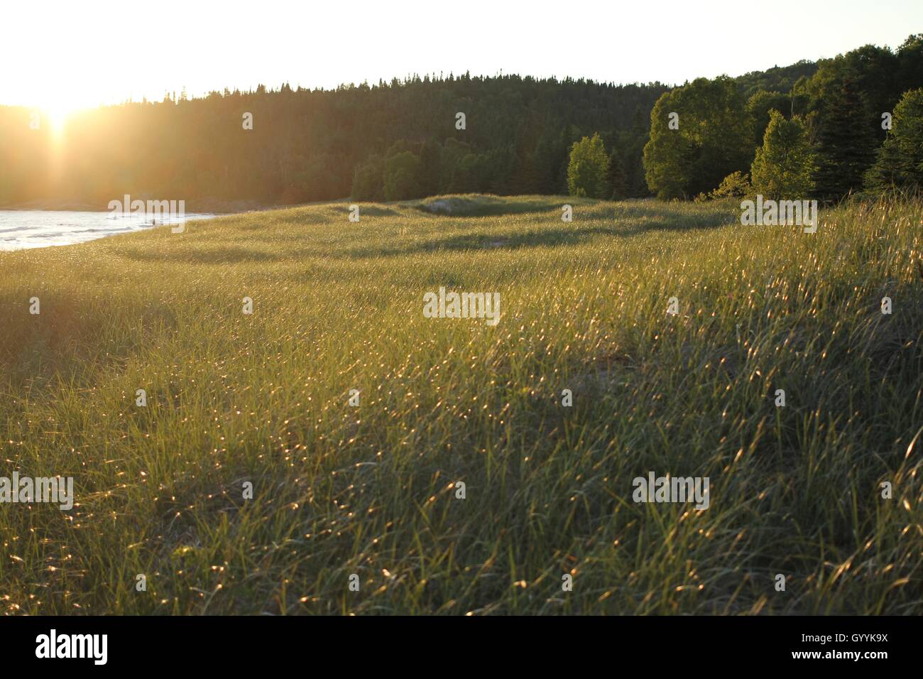 Grasland in Canada Stock Photo - Alamy