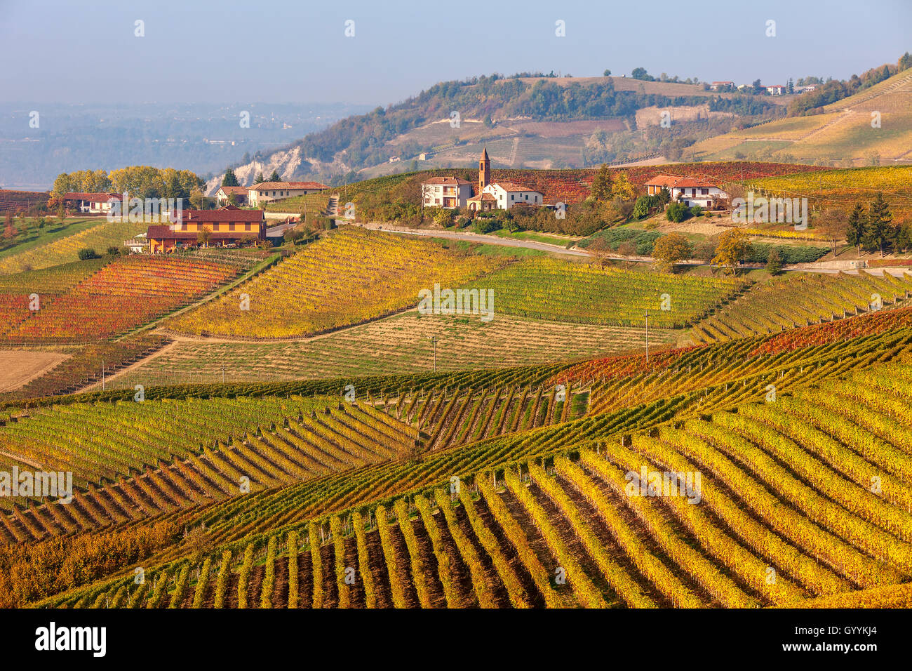 Rows of vineyards on hills of Piedmont, Italy in autumn Stock Photo - Alamy