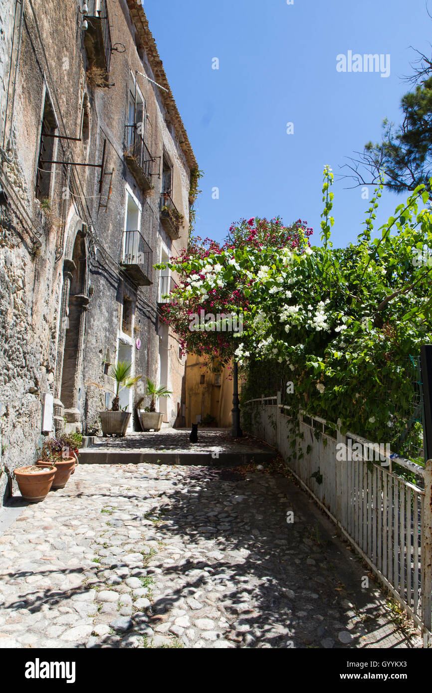 view of a alley in the old town of Amantea, Italy Stock Photo - Alamy