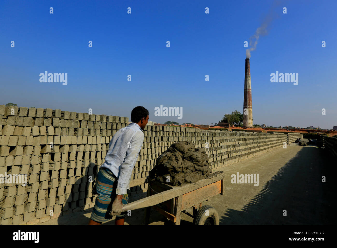 A labourer carries mud on a push cart at brickfield at Amin Bazar ...