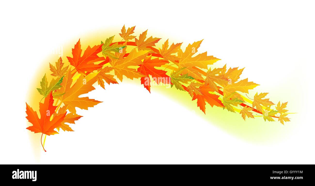 Autumn . Fall leaf Stock Vector Image & Art - Alamy