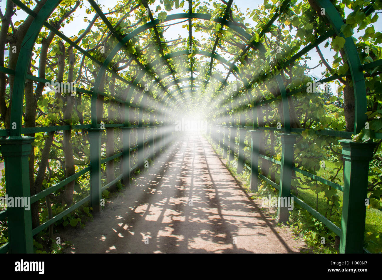 Tunnel pavilion hi-res stock photography and images - Alamy
