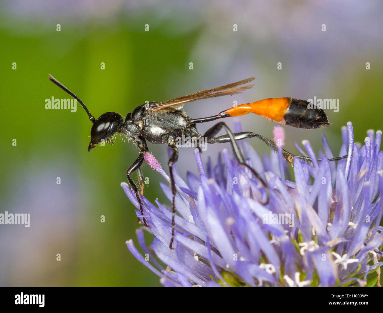 Bit field hi-res stock photography and images - Alamy