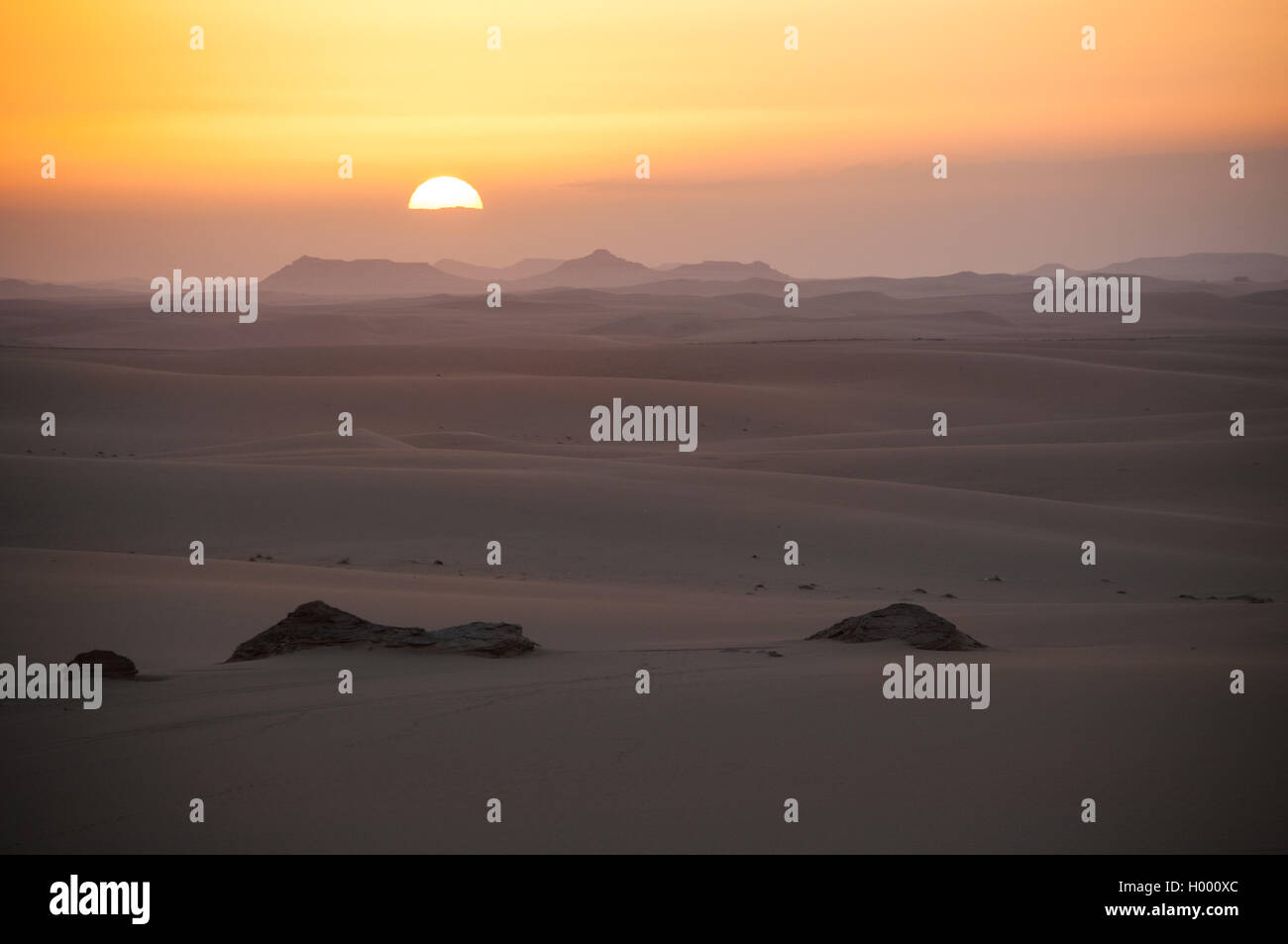 Early morning in Sahara desert in Egypt Stock Photo - Alamy
