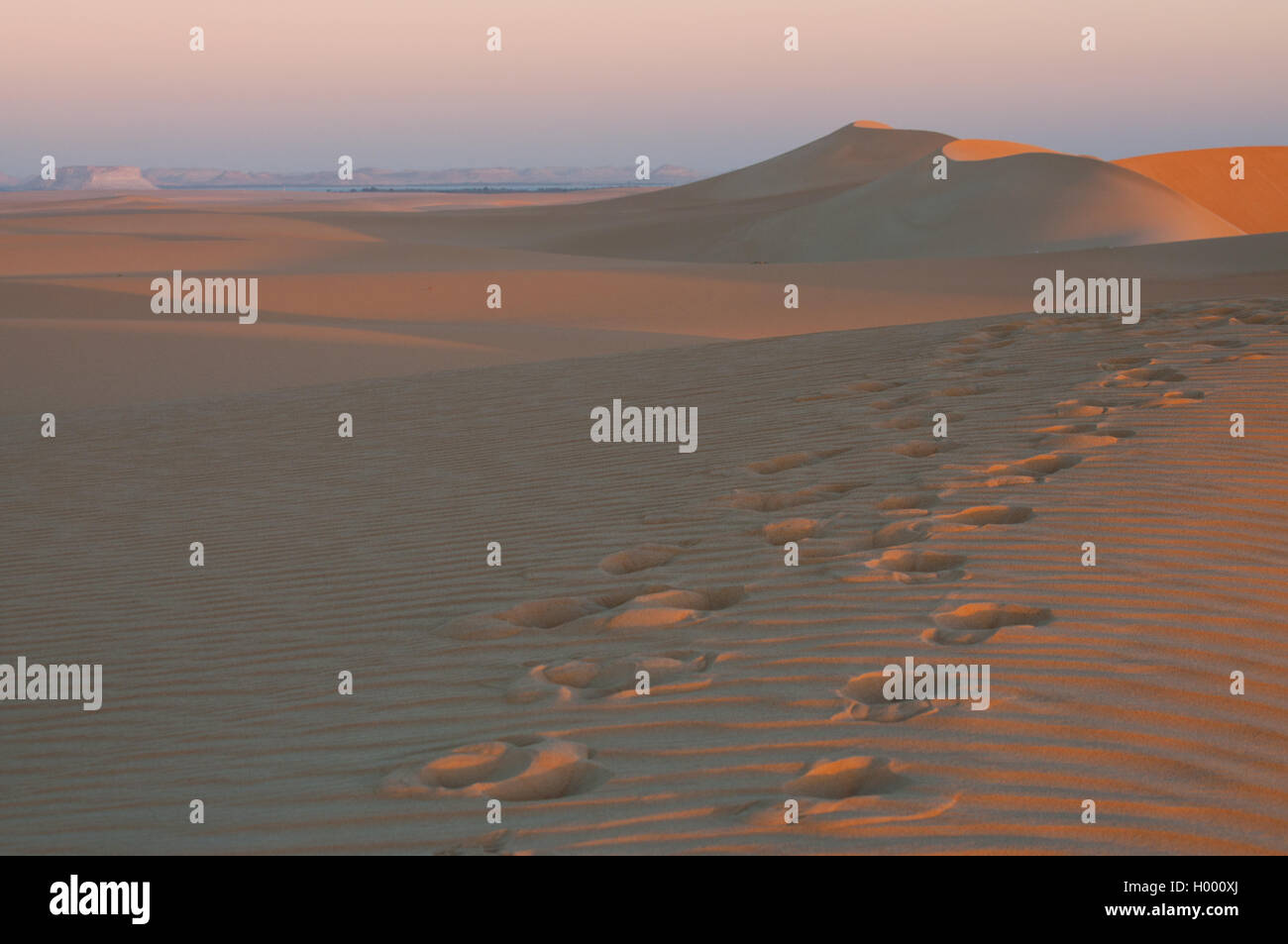 Archeology sahara desert hi-res stock photography and images - Alamy