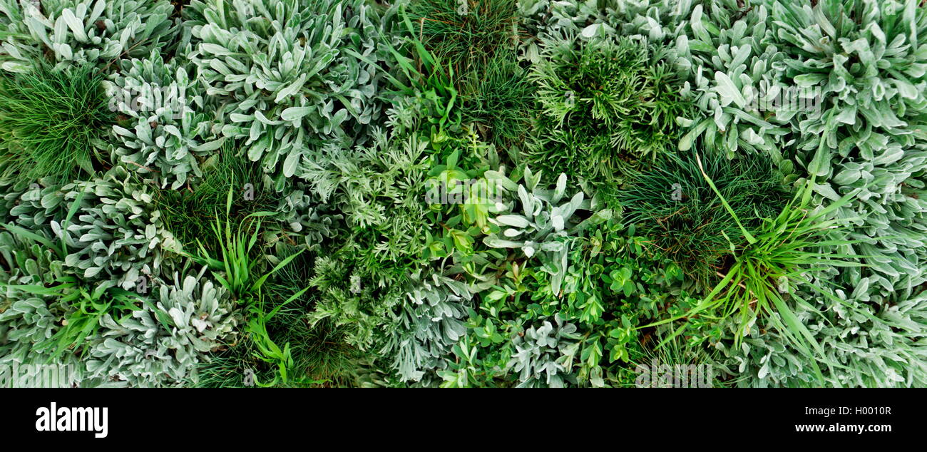 Attractive living wall hi-res stock photography and images - Alamy