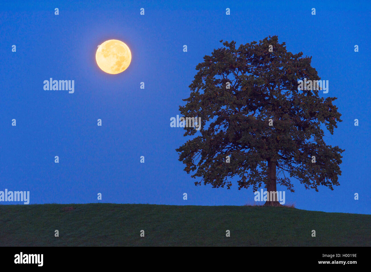Full Moon Scenic Shot High Resolution Stock Photography and Images - Alamy