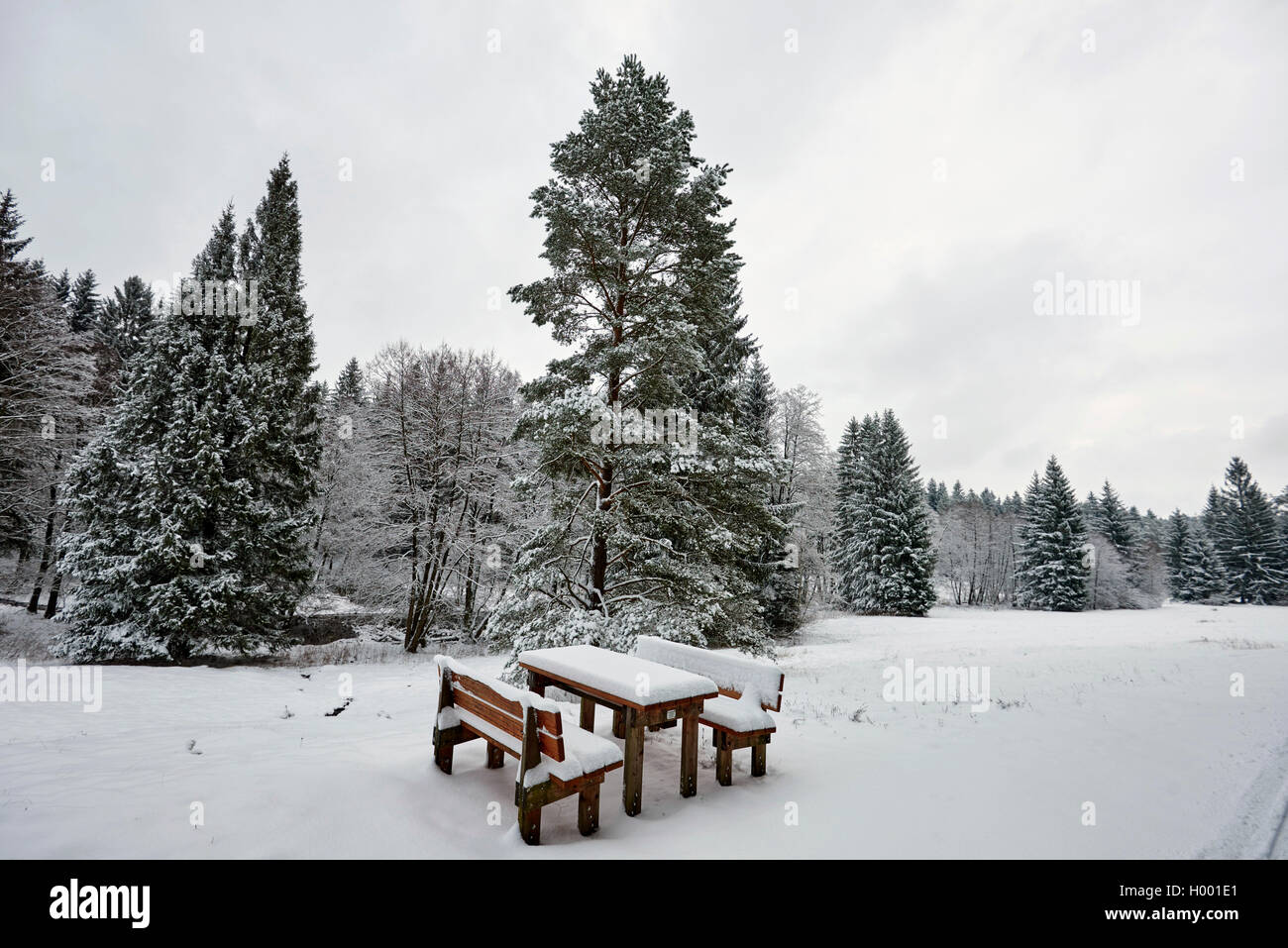 Table with benches hi-res stock photography and images - Alamy