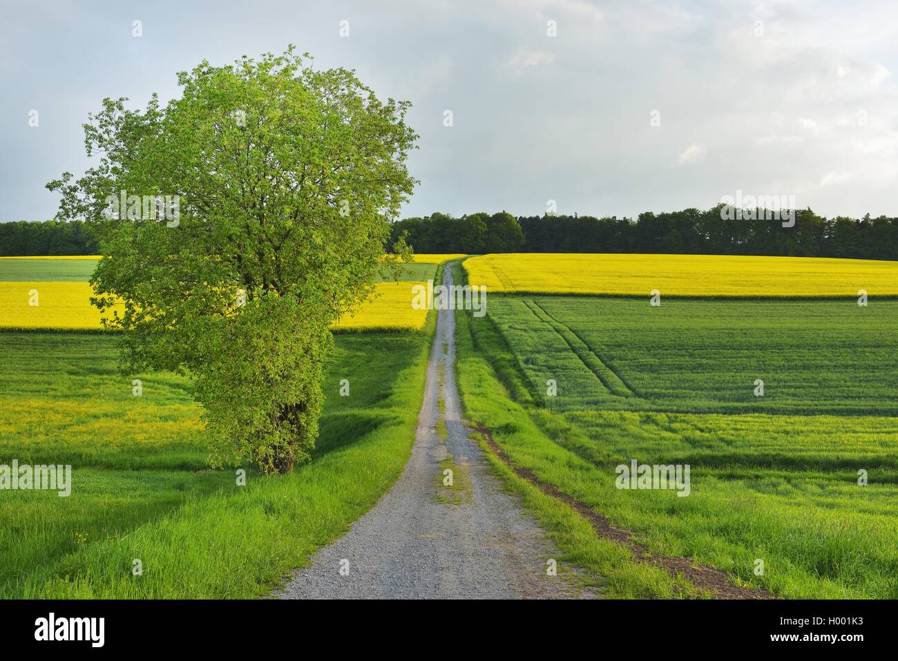 Countryside farming paths hi-res stock photography and images - Alamy