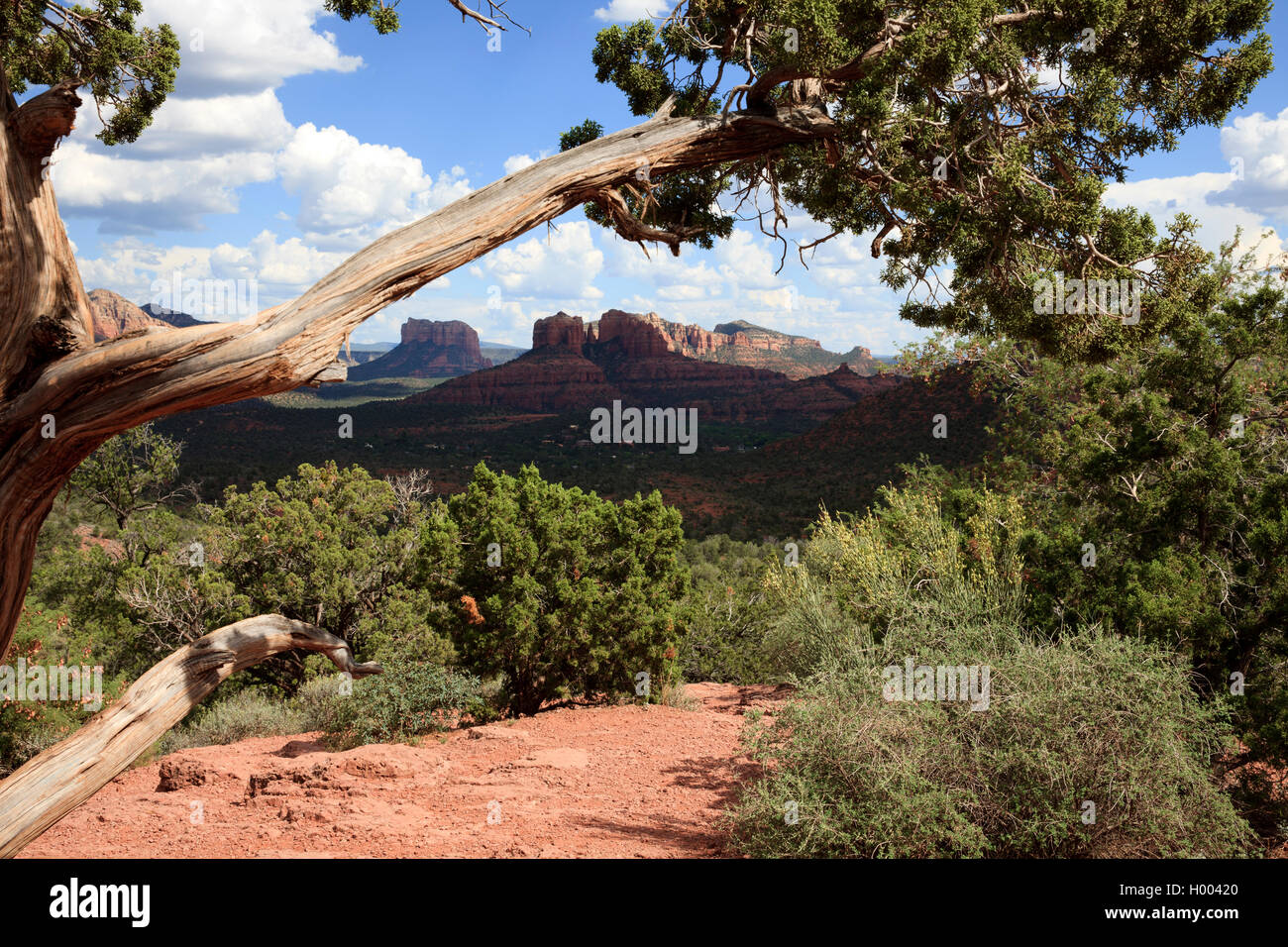 Arizona landscape, Arizona, USA Stock Photo - Alamy