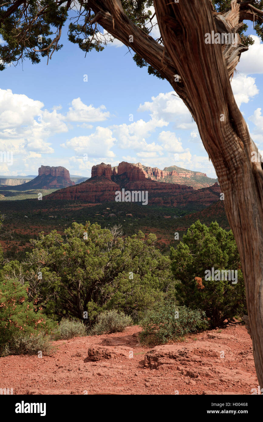 Arizona landscape, Arizona, USA Stock Photo - Alamy