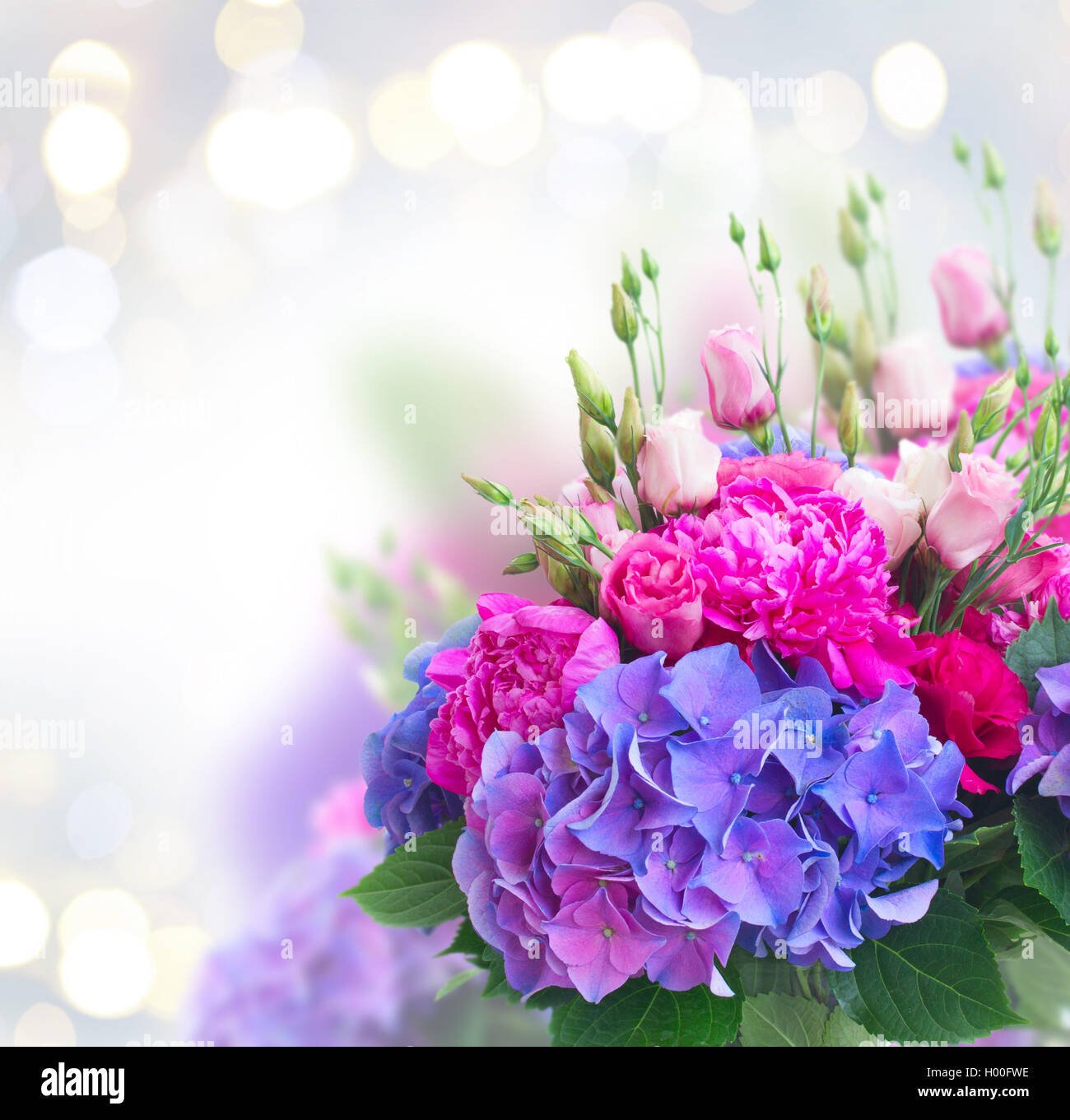 Bright pink and blue flowers Stock Photo - Alamy