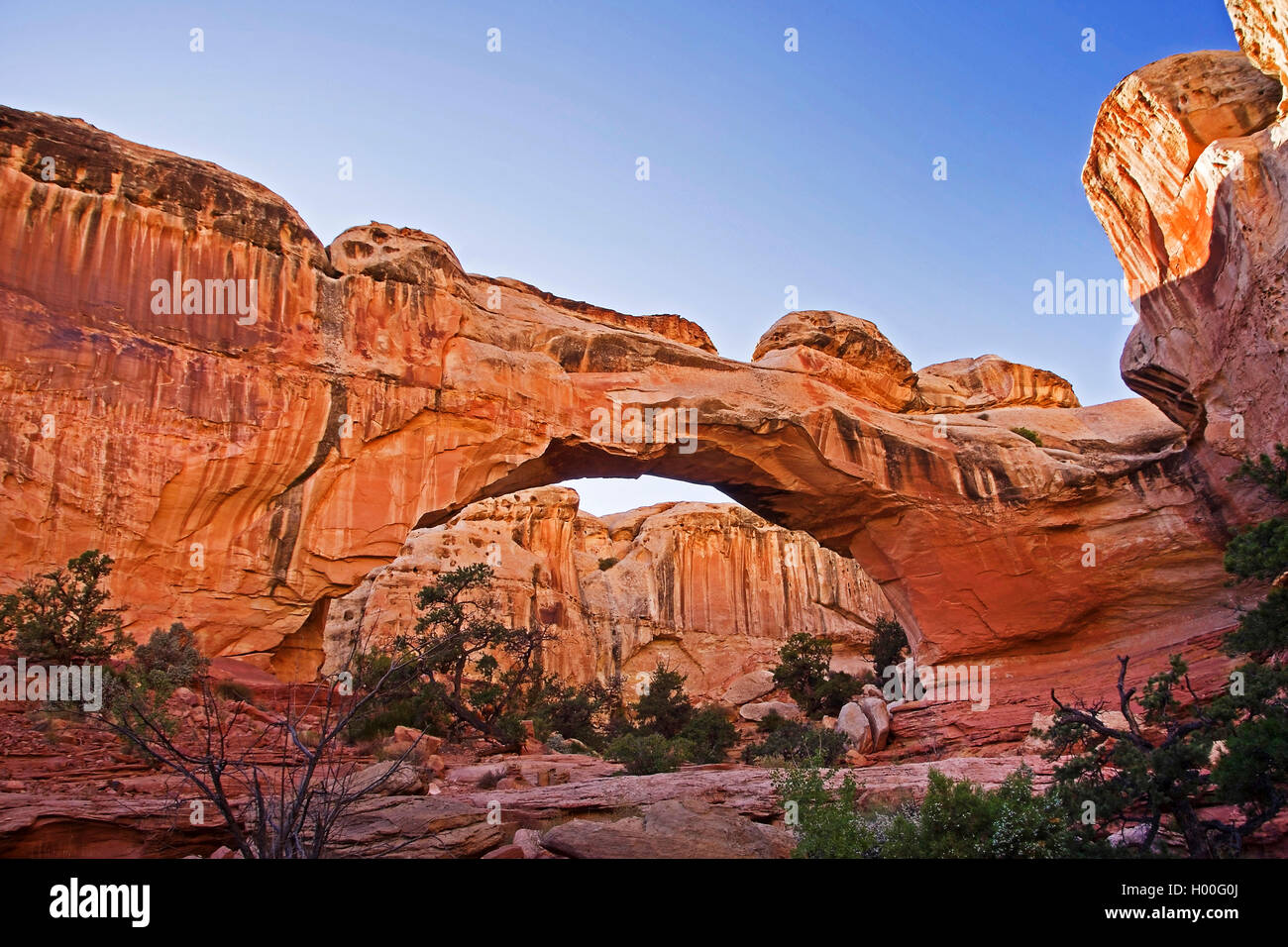 Capitol reef national park arch hi-res stock photography and images - Alamy