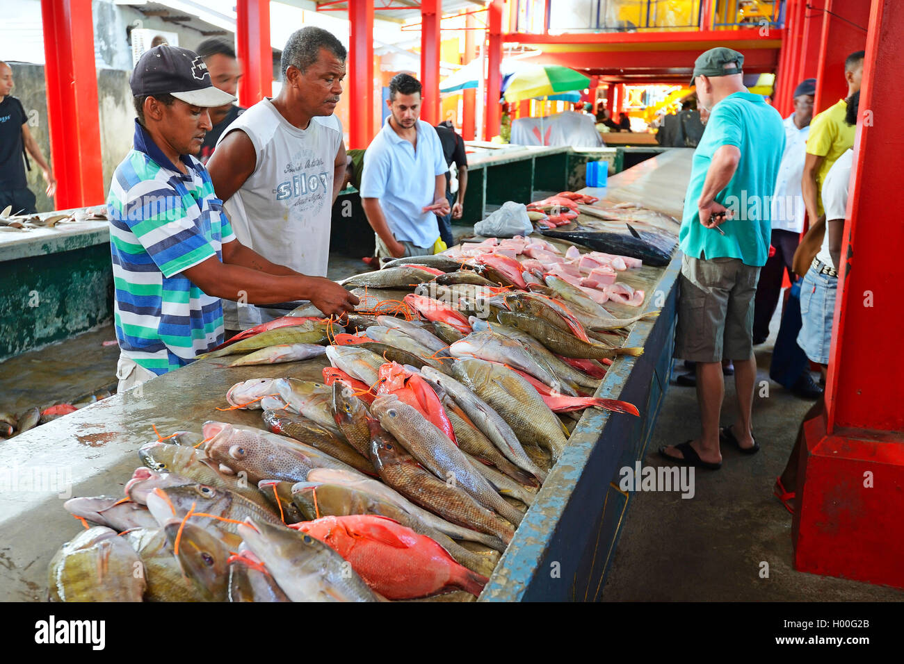 fresh fishes for sale at the Sir Selwyn Selwyn-Clarke fish market in ...