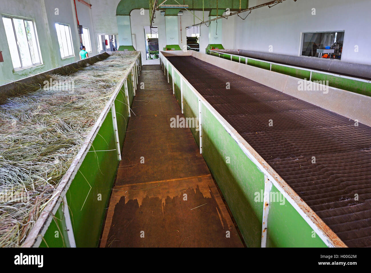 Tea production tea factory seychelles hi-res stock photography and ...
