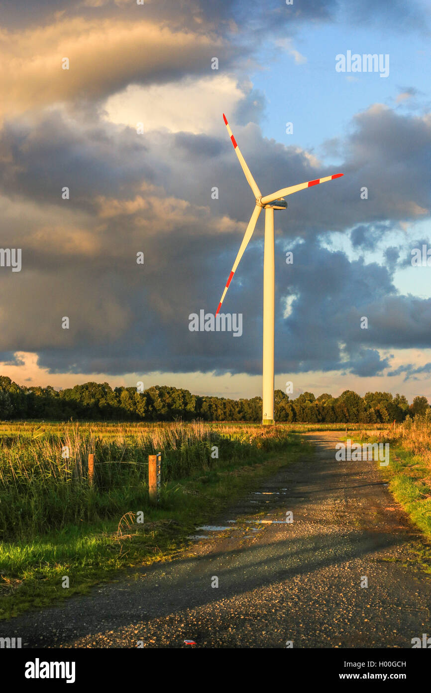 Germany path wheel hi-res stock photography and images - Alamy