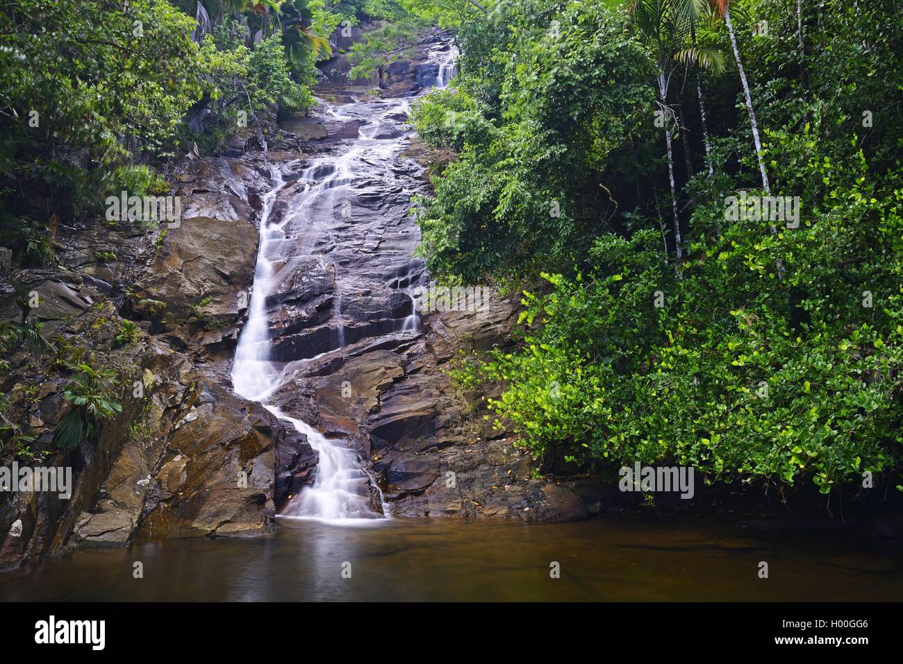 Sauzier waterfall, Seychelles, Mahe Stock Photo - Alamy