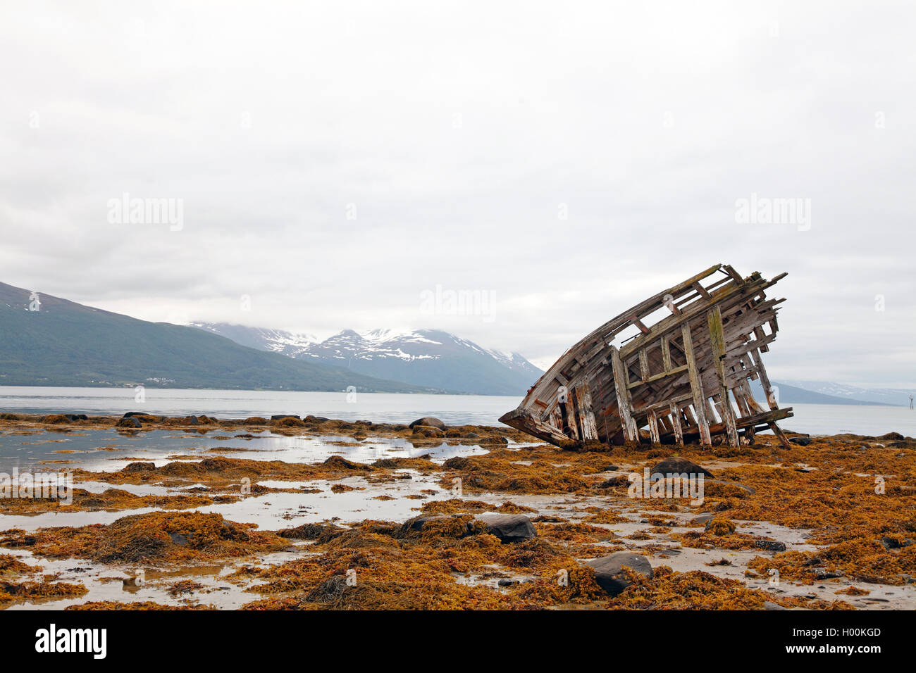 Ships shipwreck shipwrecks hi-res stock photography and images - Alamy