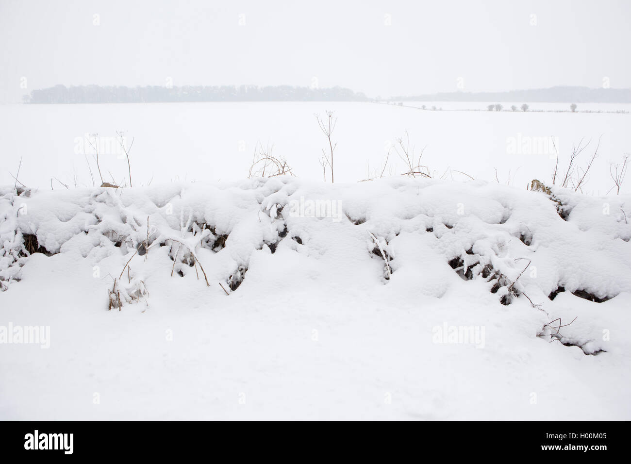 Fields covered in a layer of snow in this bleak winters landscape with ...