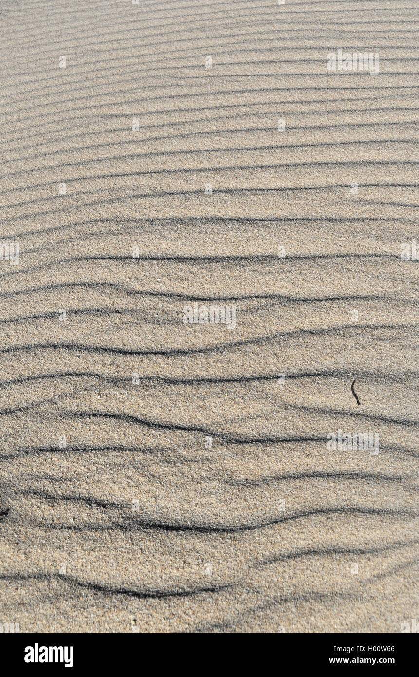 Beach sand surface texture. Natural backgrounds and textures Stock ...
