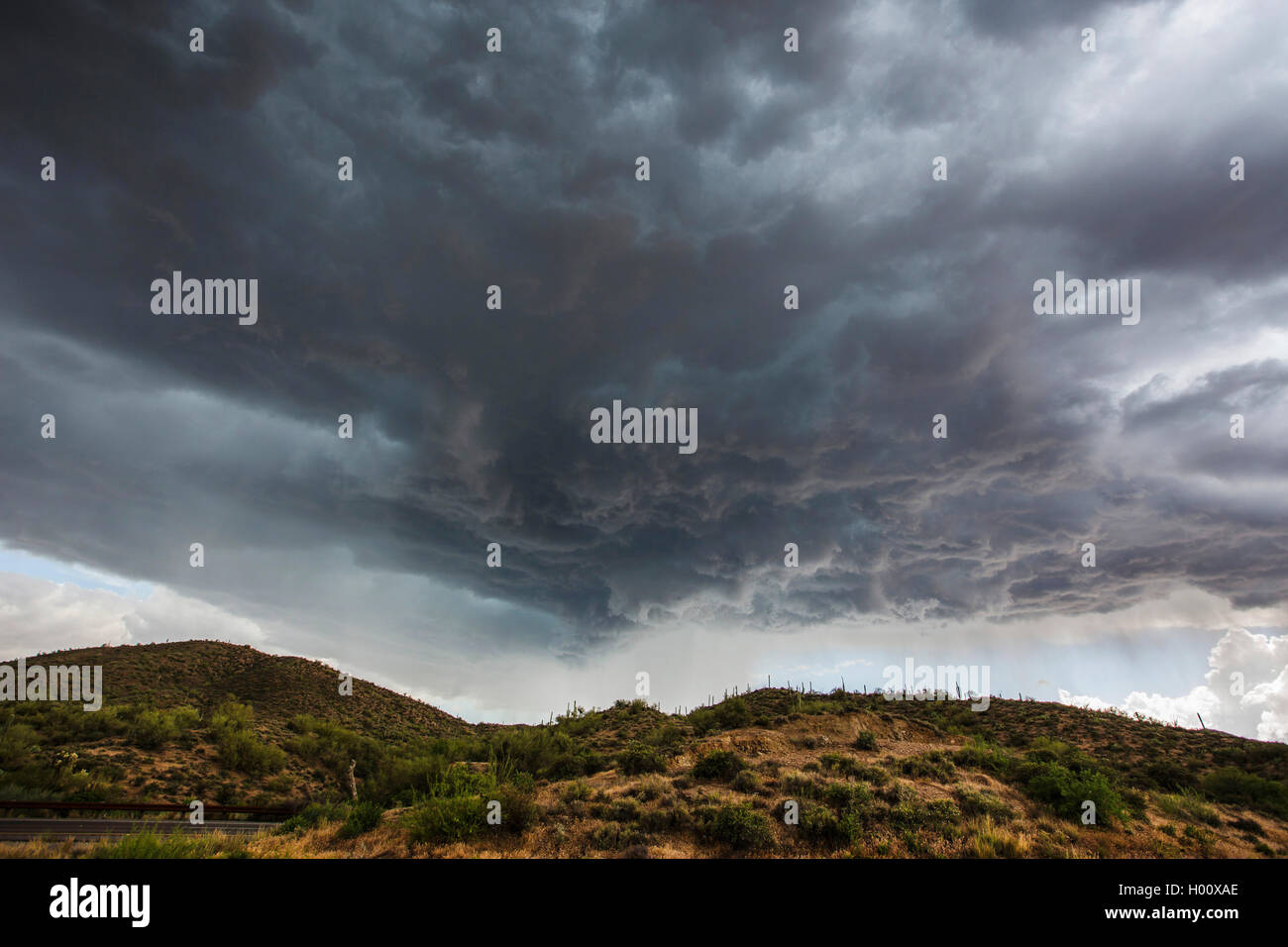 thunderstorm over the desert, USA, Arizona, Sonoran Stock Photo - Alamy