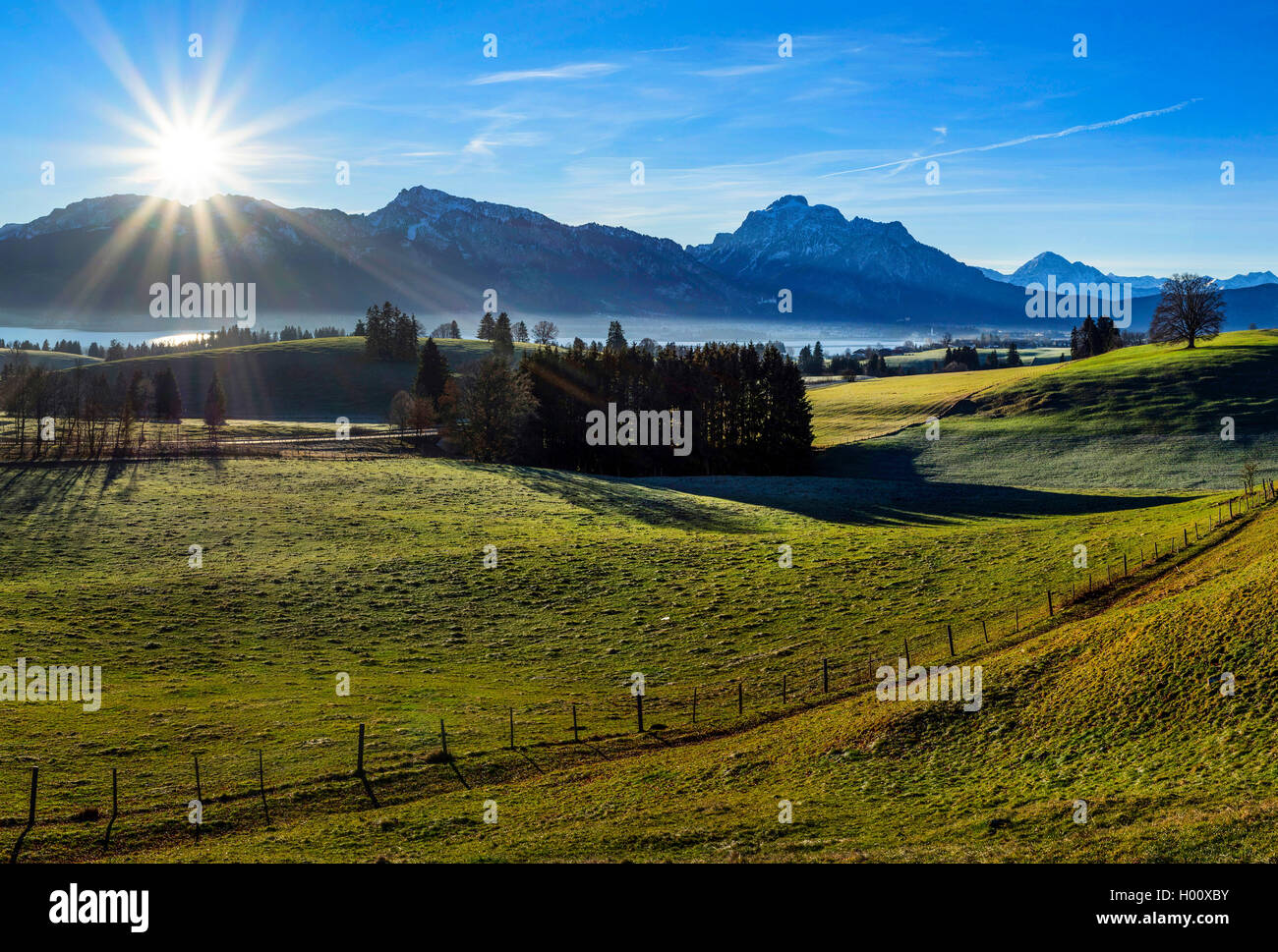 Autumn in the forggensee hi-res stock photography and images - Alamy