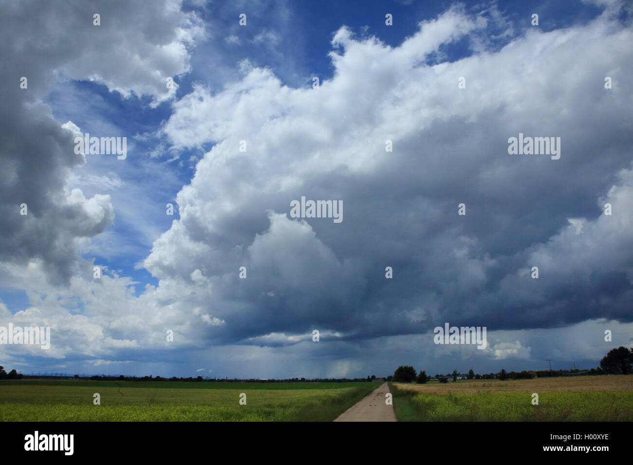 thunderclouds above grain fields, Germany Stock Photo - Alamy