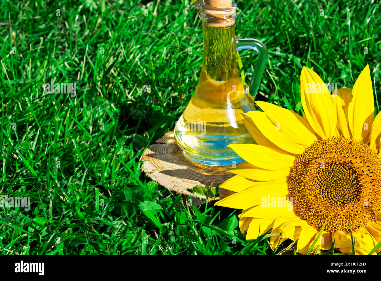 bottle of sunflower oil and sunflower with seeds Stock Photo - Alamy