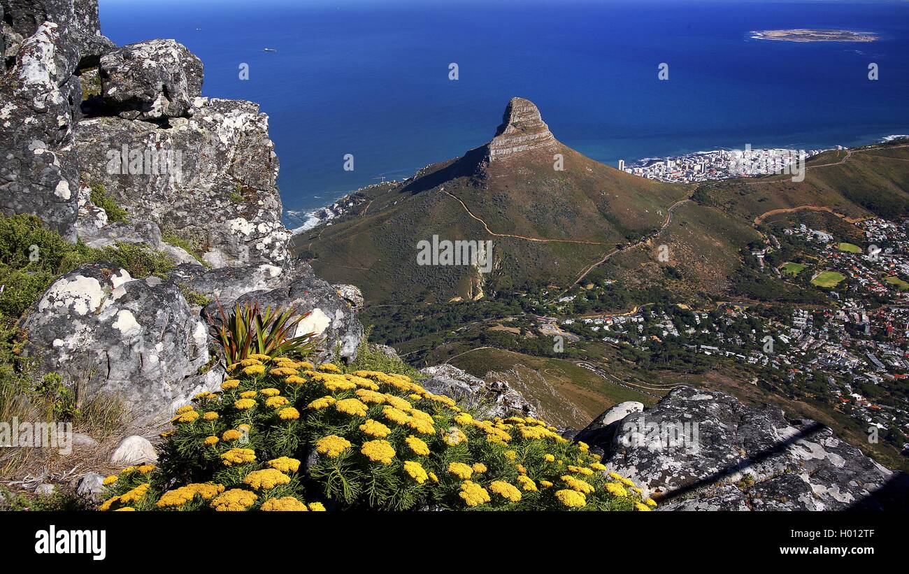 Tafelberg Nationalpark Stock Photos & Tafelberg Nationalpark Stock ...
