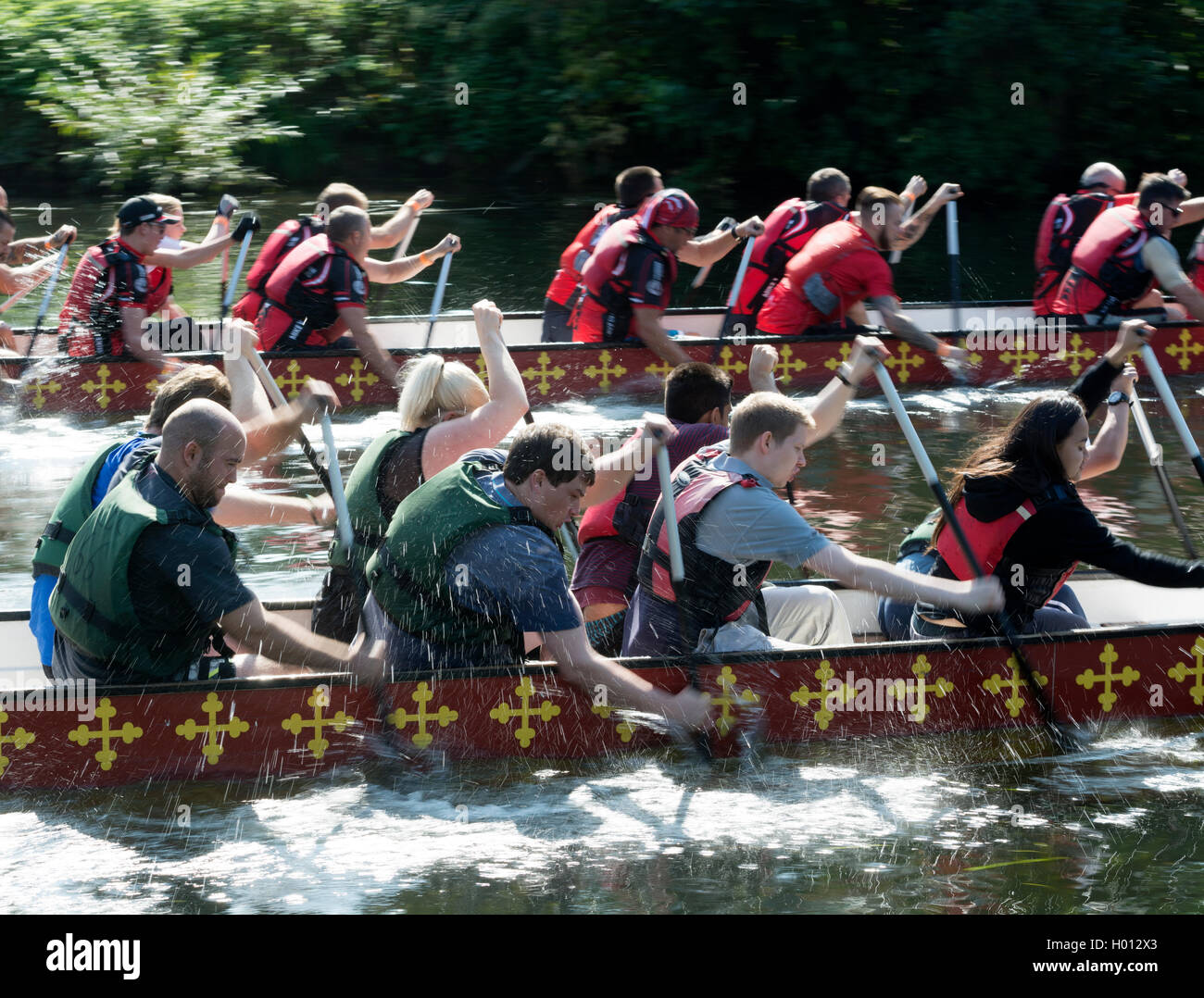Dragon boat racing Stock Photo - Alamy