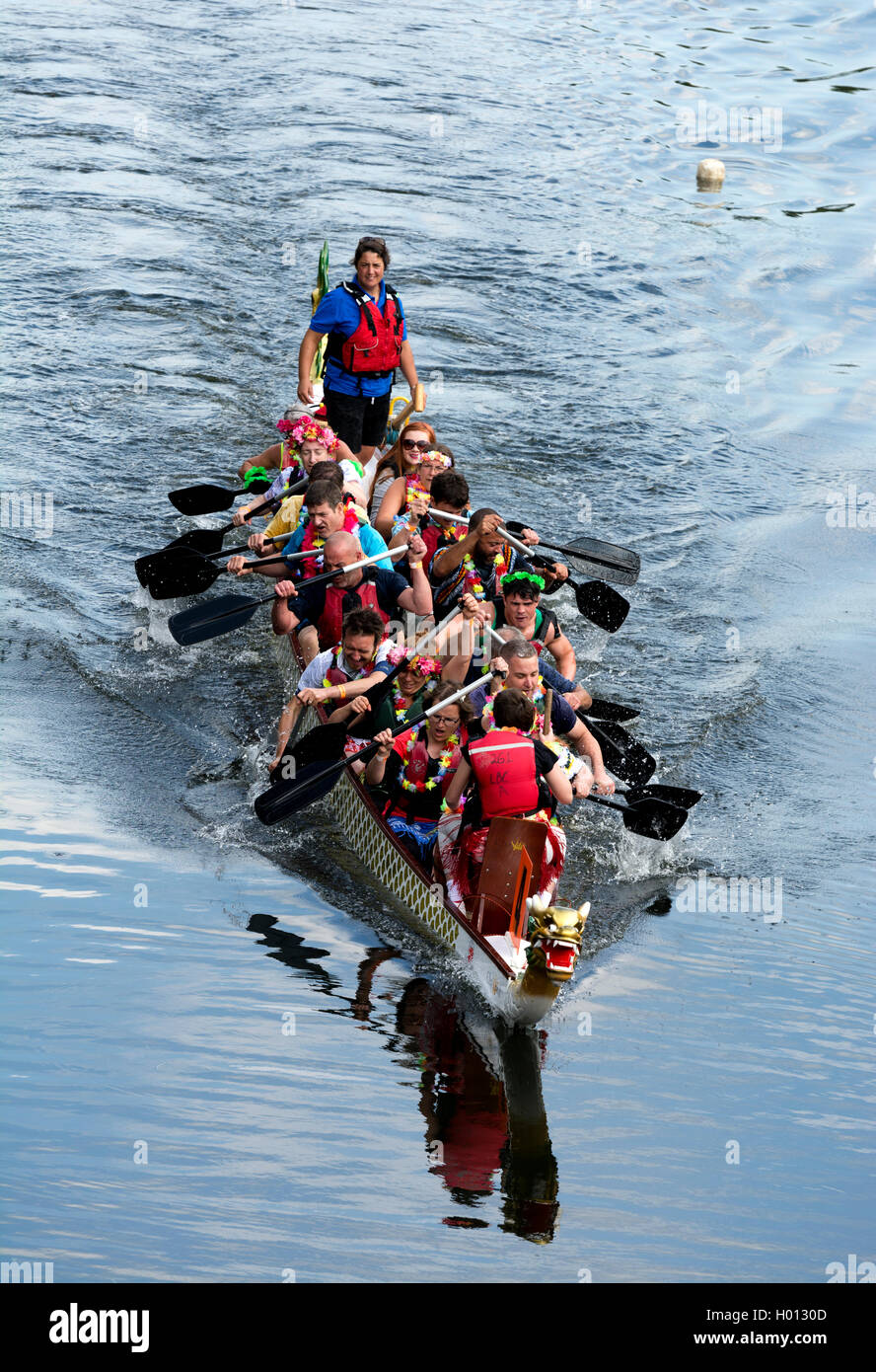 Dragon boat racing Stock Photo - Alamy