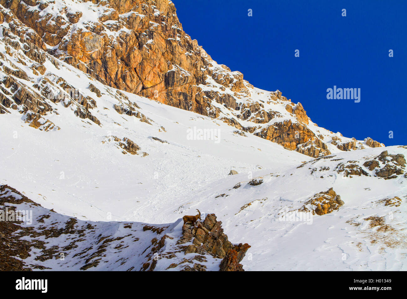 Mountain Cliff Edge Snow