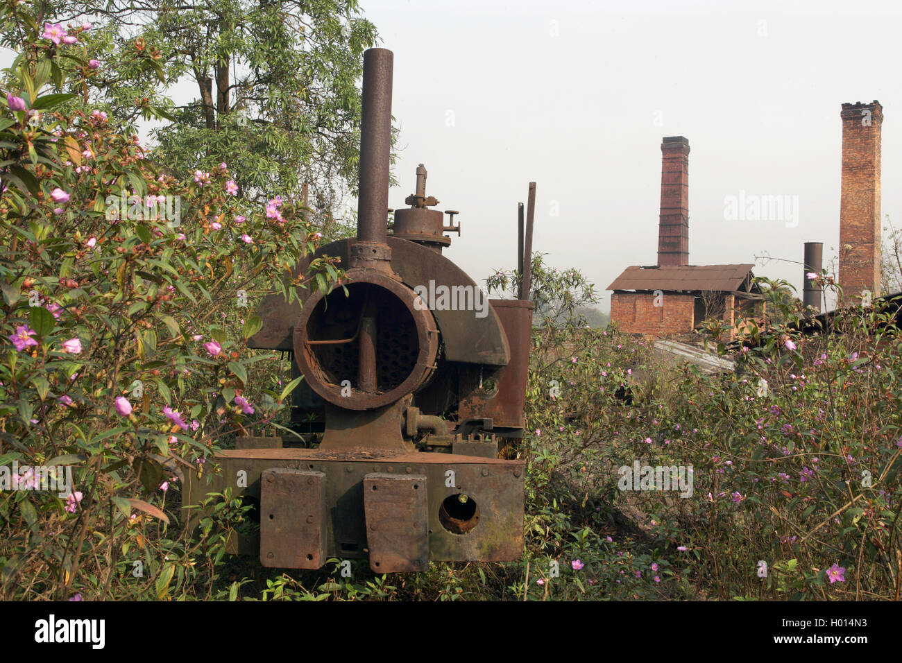 History brickworks hi-res stock photography and images - Alamy