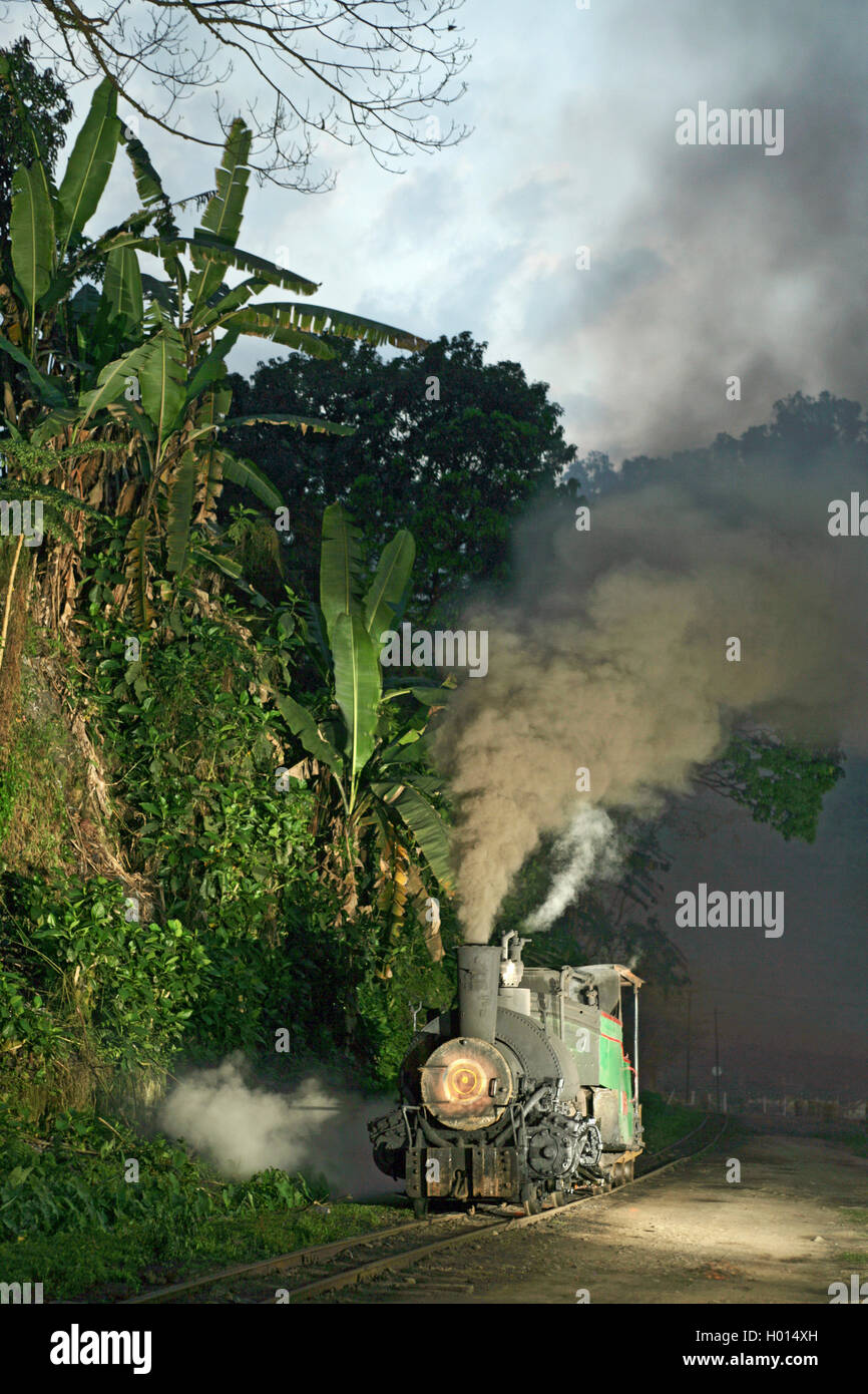 The omnipresent jungle of Assam, as an ex-Darjeeling two-foot gauge 0-4 ...