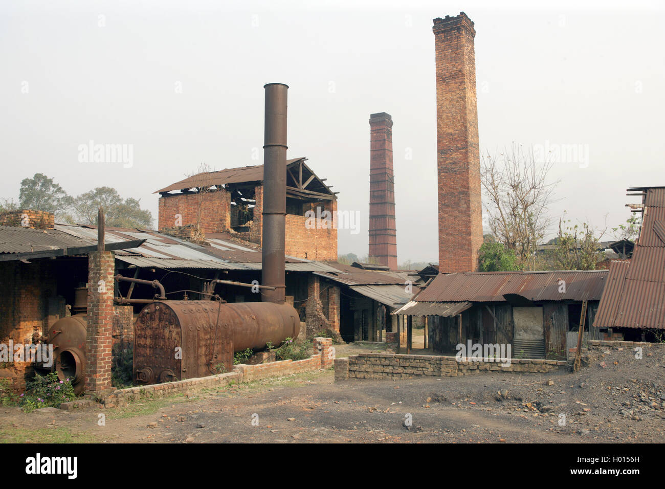 Ledo india hi-res stock photography and images - Alamy