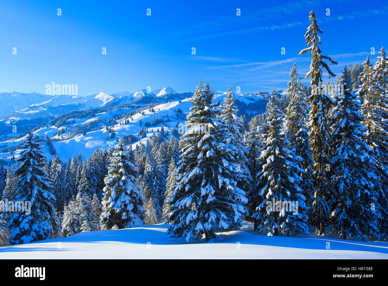 Simmental switzerland hi-res stock photography and images - Alamy