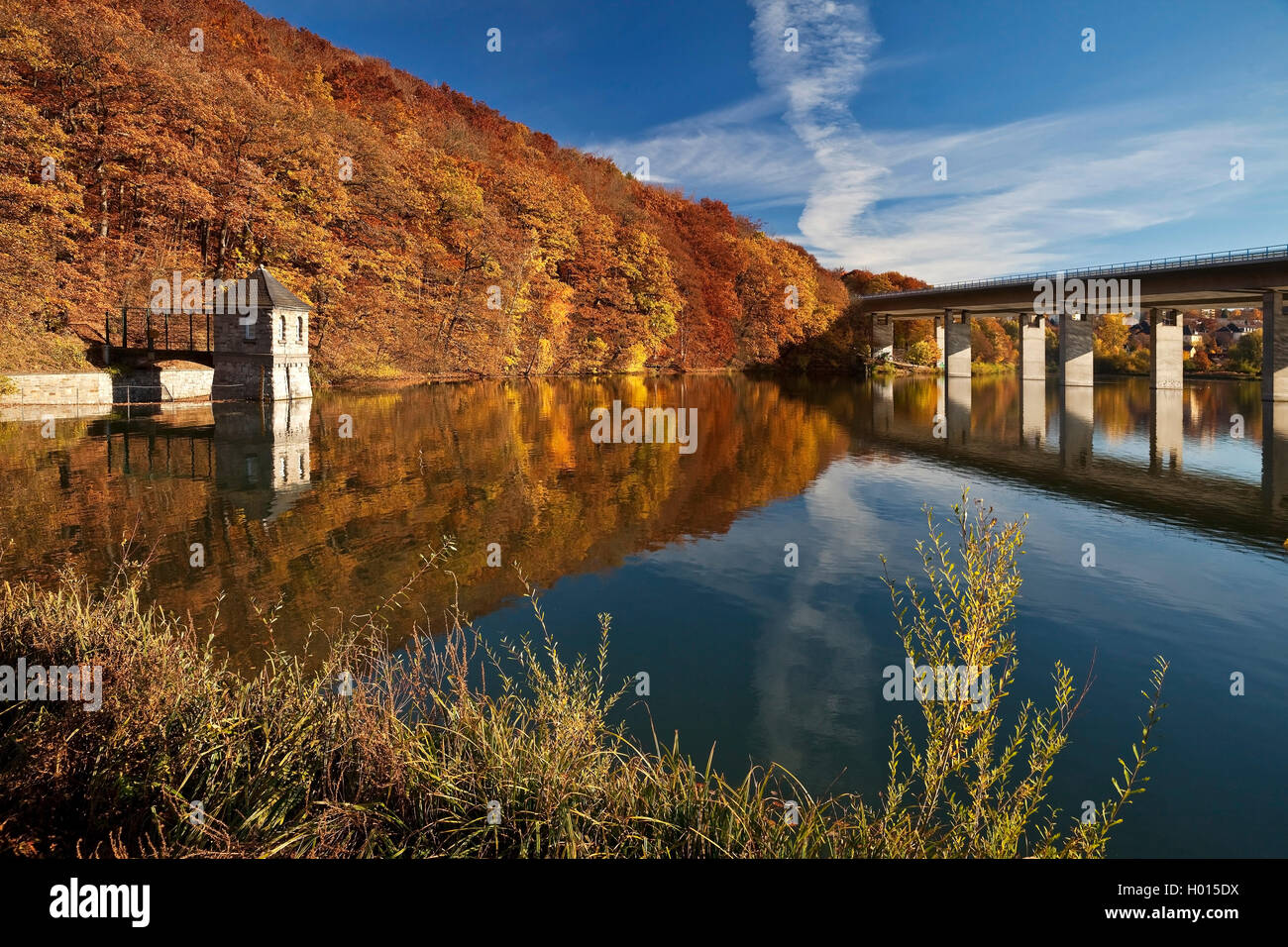 Seilersee in autumn, , Germany, North Rhine-Westphalia, Sauerland ...