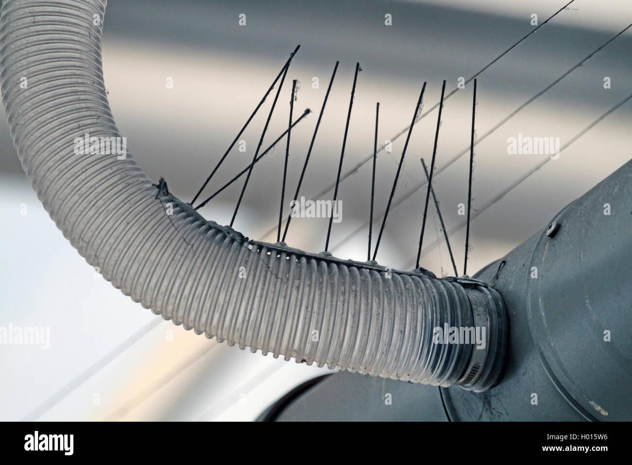 Pest control pipe system hi-res stock photography and images - Alamy