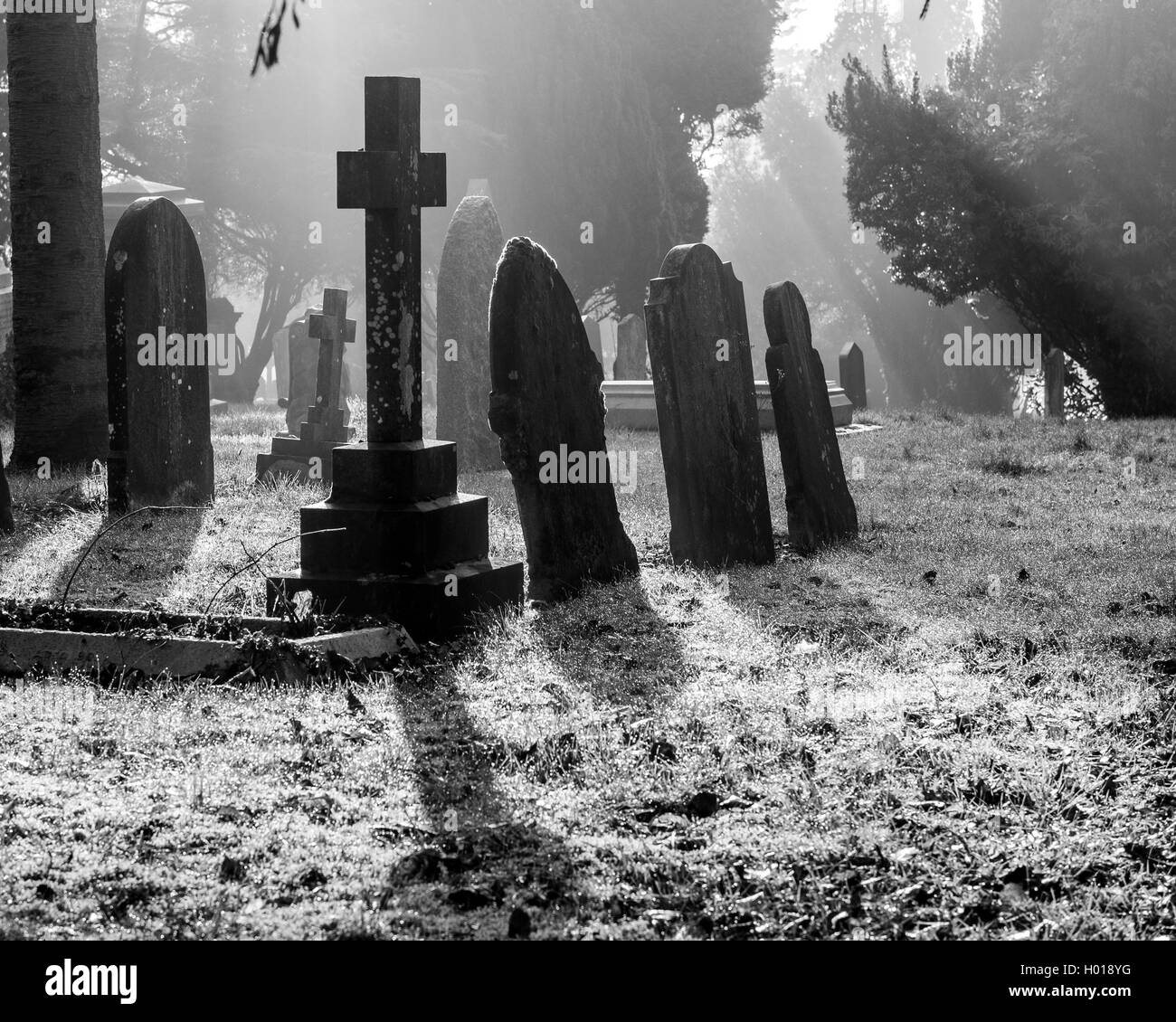 Graves gravestones graves death Black and White Stock Photos & Images ...